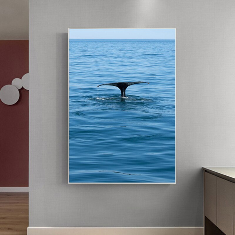affiche photo queue requin | La maison des tableaux